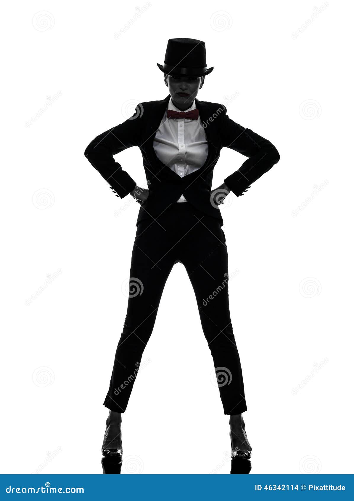 Woman Master Of Ceremonies Presenter Silhouette Stock Photo ...