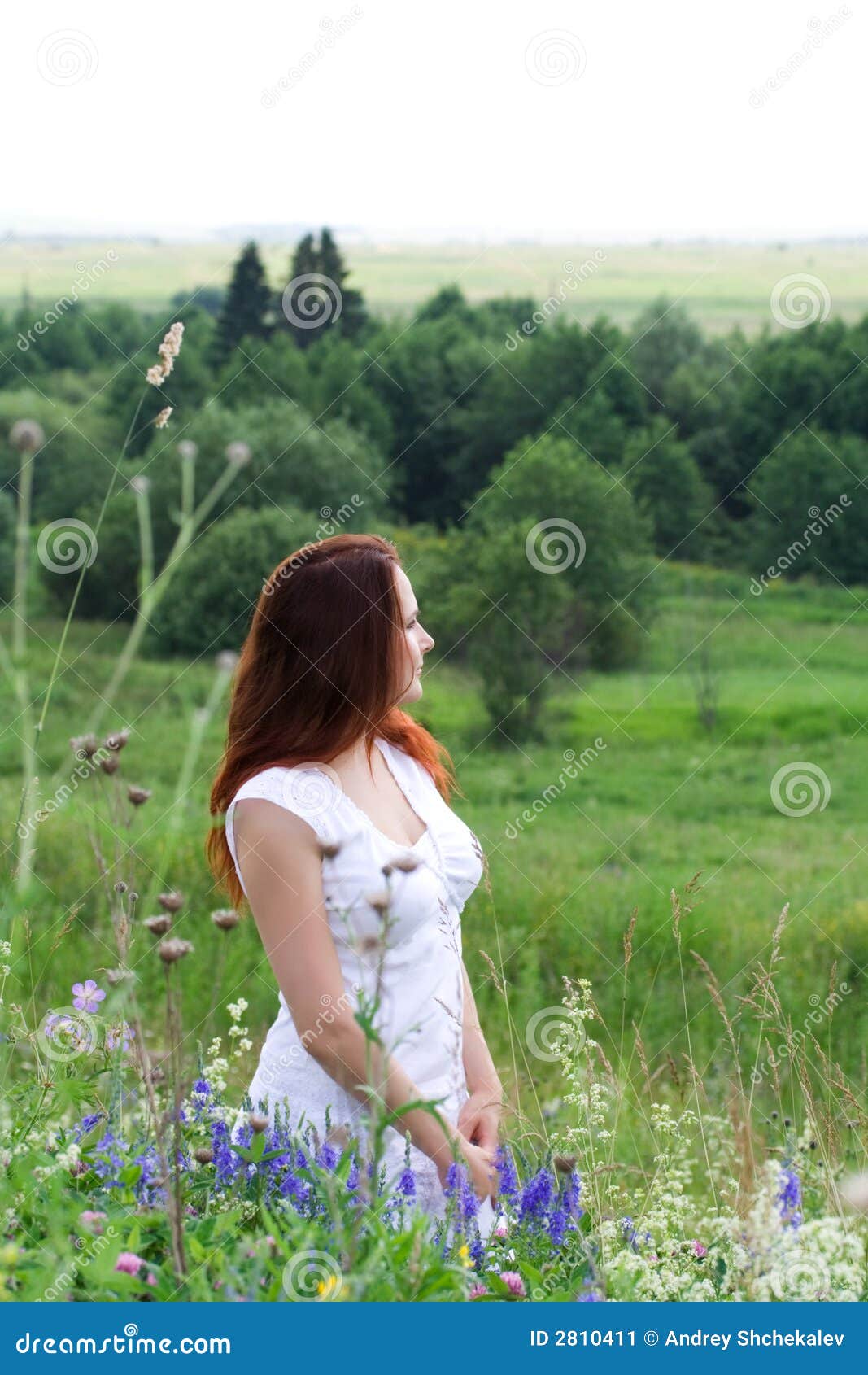 Woman at meadow stock image. Image of field, femininity - 2810411