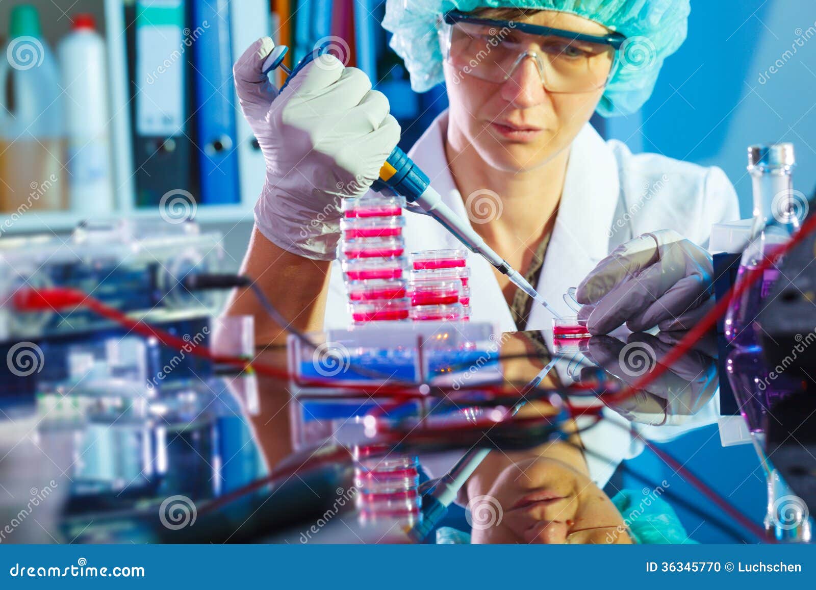 Woman in the Microbiology Laboratory Stock Photo - Image of liquid ...