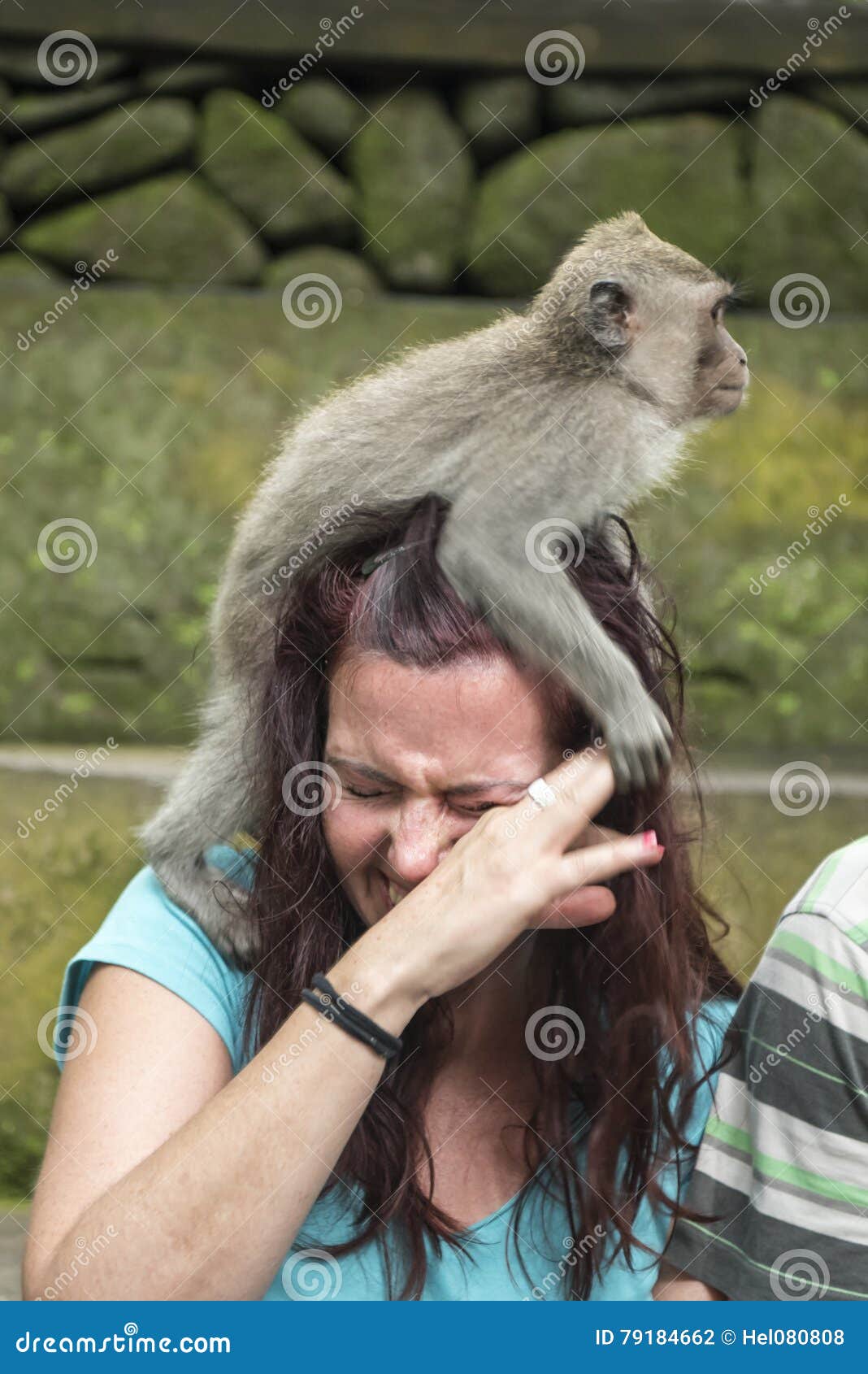 Macaques Monkey on Head of Laughing Woman Editorial Photography - Image ...