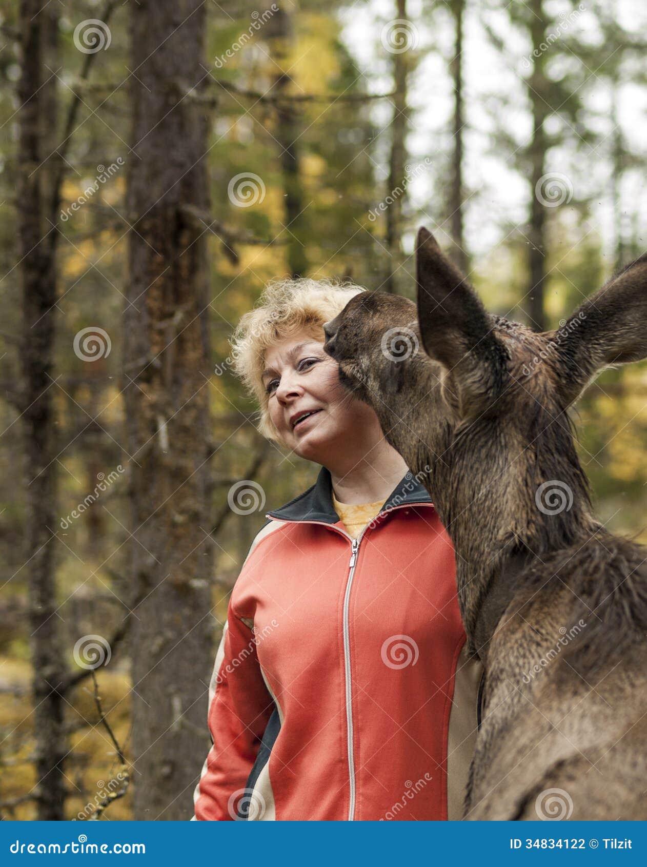 Woman with moose stock photo. Image of woman, scent, moosefarm - 34834122