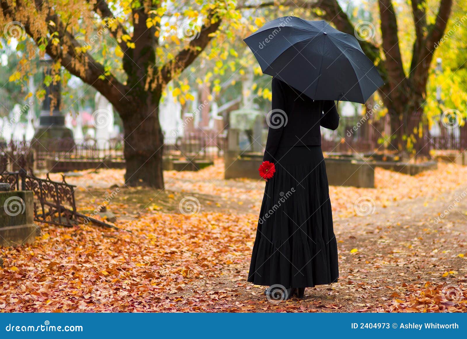 Woman Mourning at Cemetery stock image. Image of graveyard - 2404973