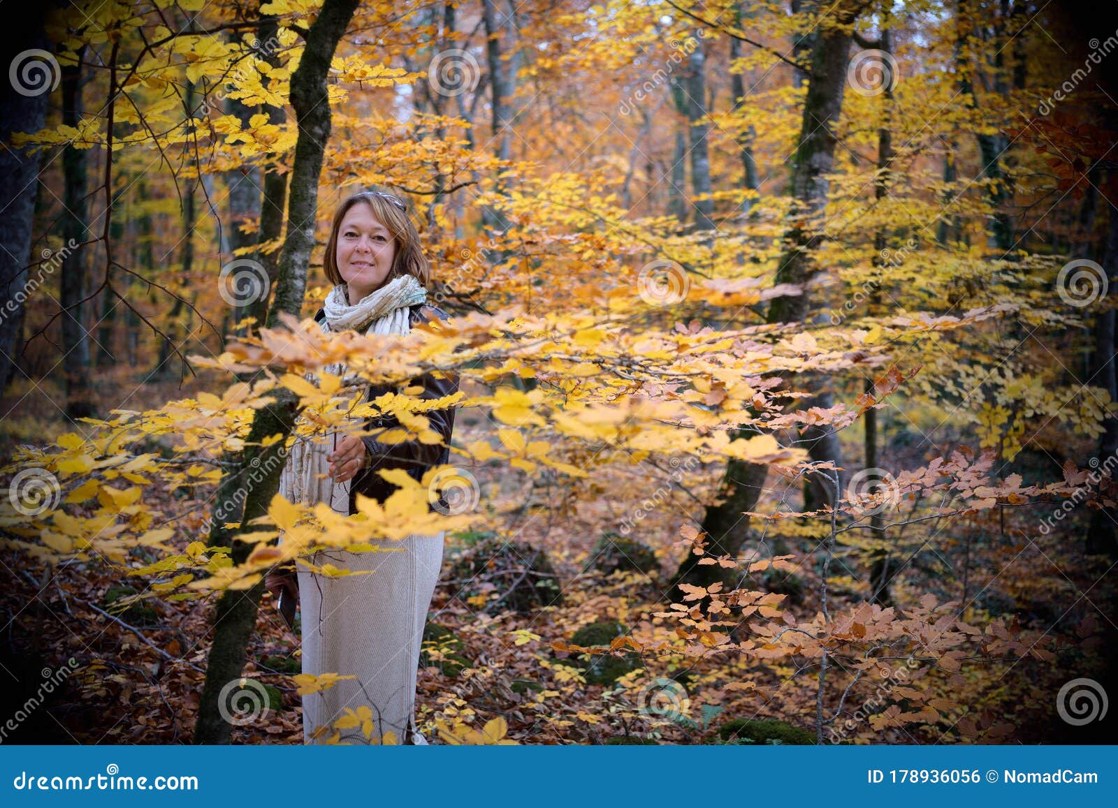 Woman in a Mystic Beech Forest in Autumn Stock Photo - Image of ...