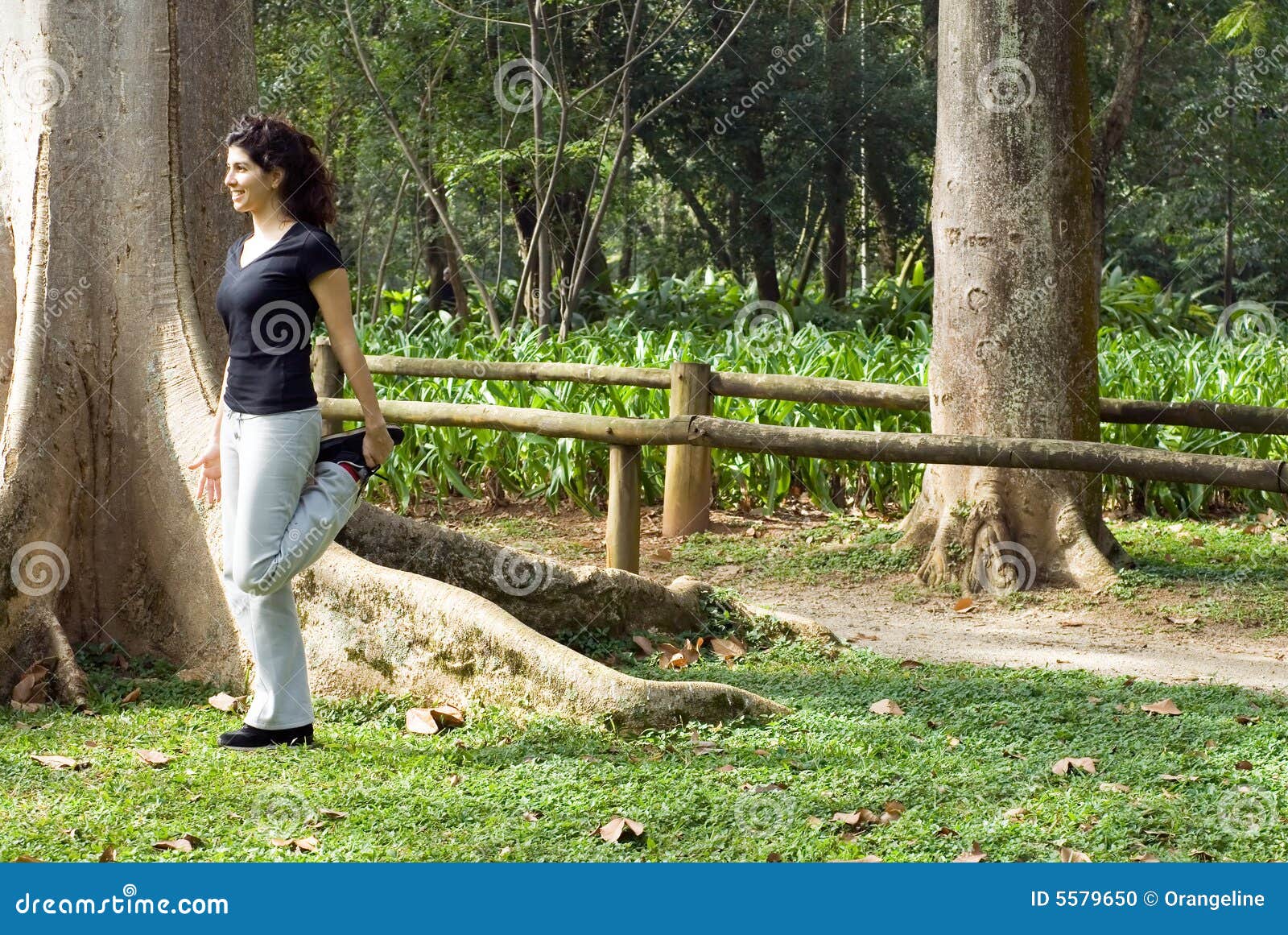 Woman Next To Tree Stretching - Horizontal Stock Photo - Image of ...