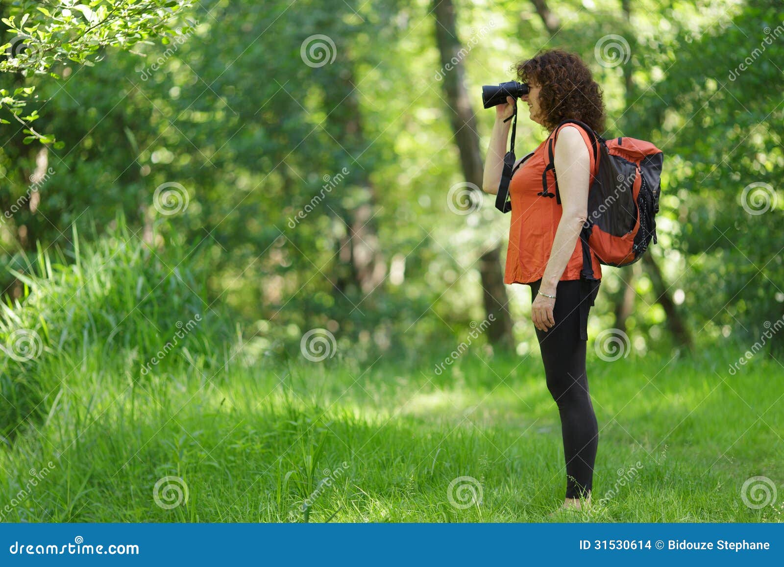 Woman observing wildlife stock photo. Image of observation - 31530614
