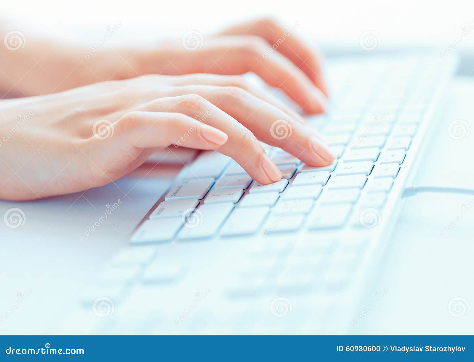 Woman Office Worker Typing on the Keyboard Stock Photo - Image of input ...