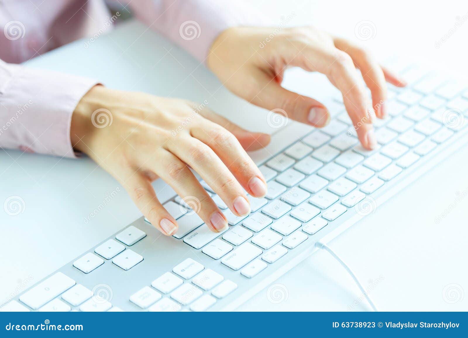 Woman Office Worker Typing on the Keyboard Stock Image - Image of ...