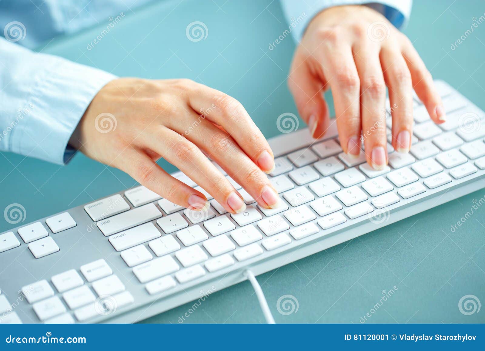 Woman Office Worker Typing on the Keyboard Stock Image - Image of human ...