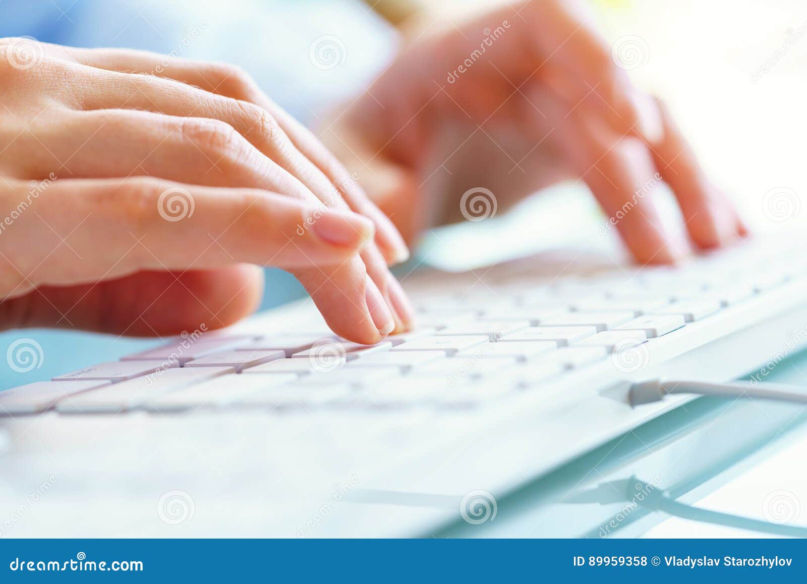 Woman Office Worker Typing on the Keyboard Stock Photo - Image of ...