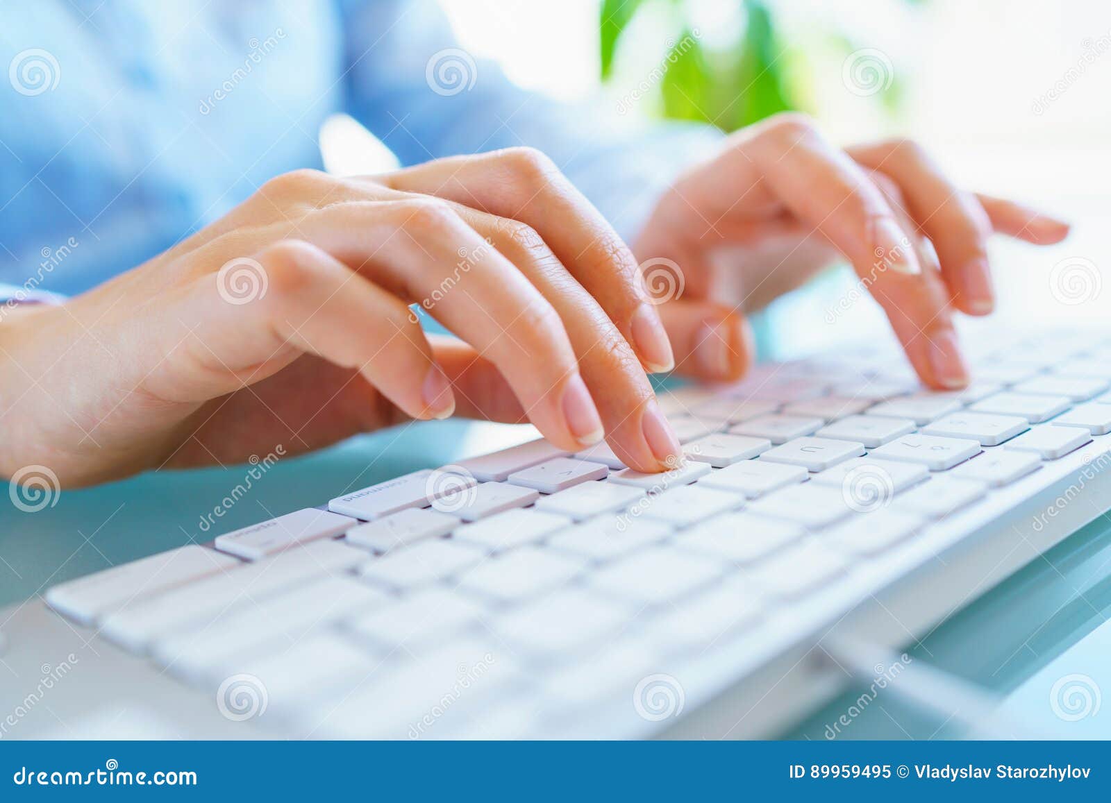 Woman Office Worker Typing on the Keyboard Stock Image - Image of ...