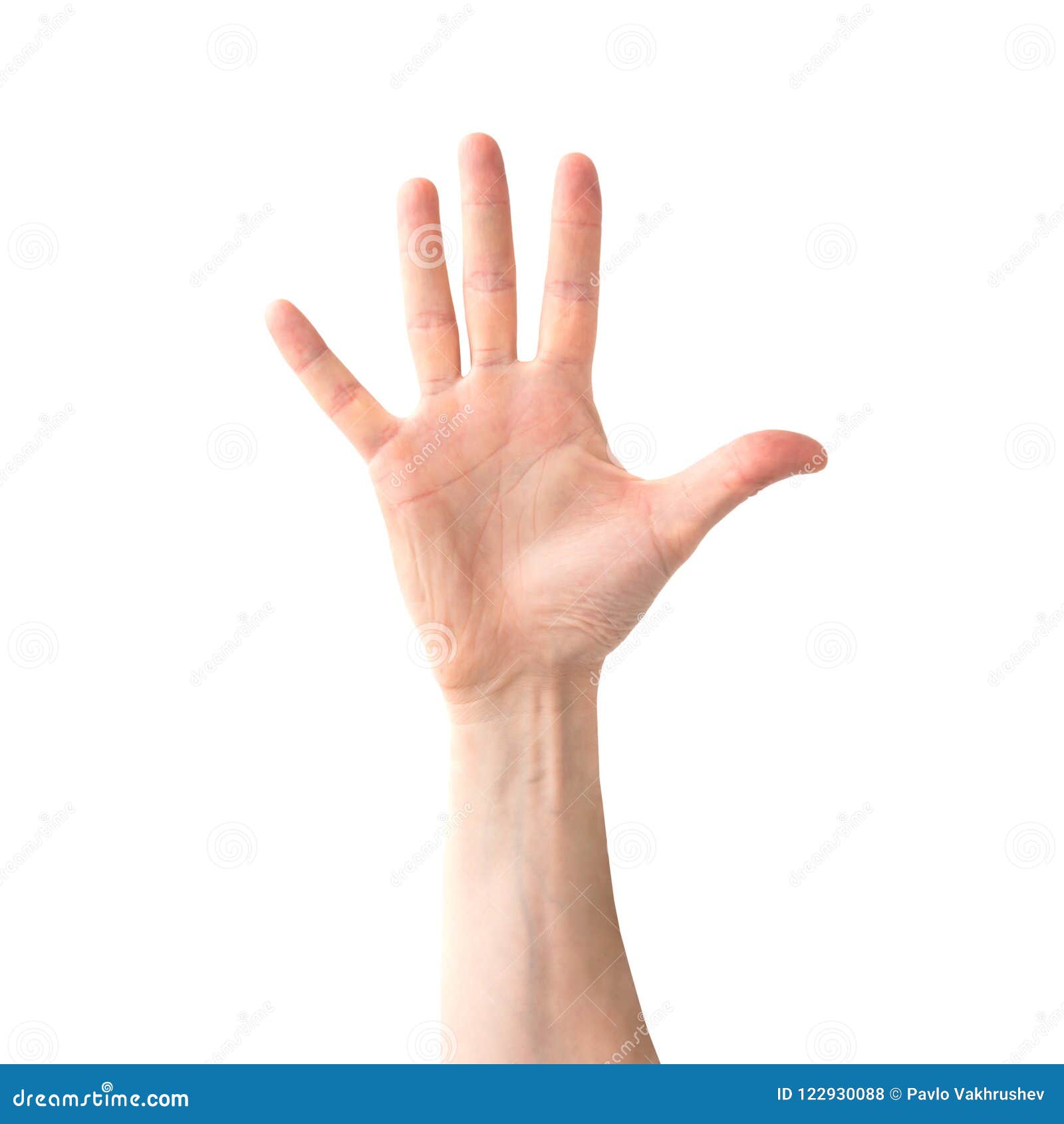 Woman open hand stock photo. Image of left, give, beautiful - 122930088