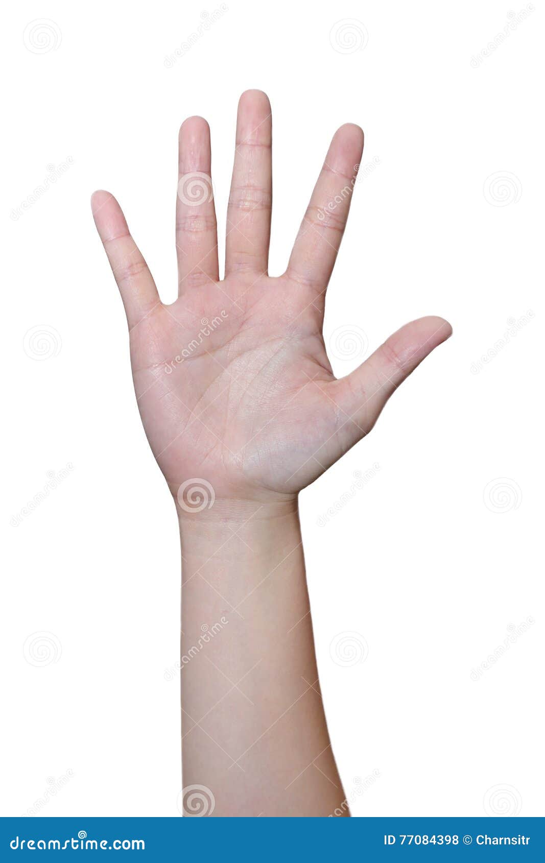 Woman with Open Hand Gesture on White Background Stock Photo - Image of ...
