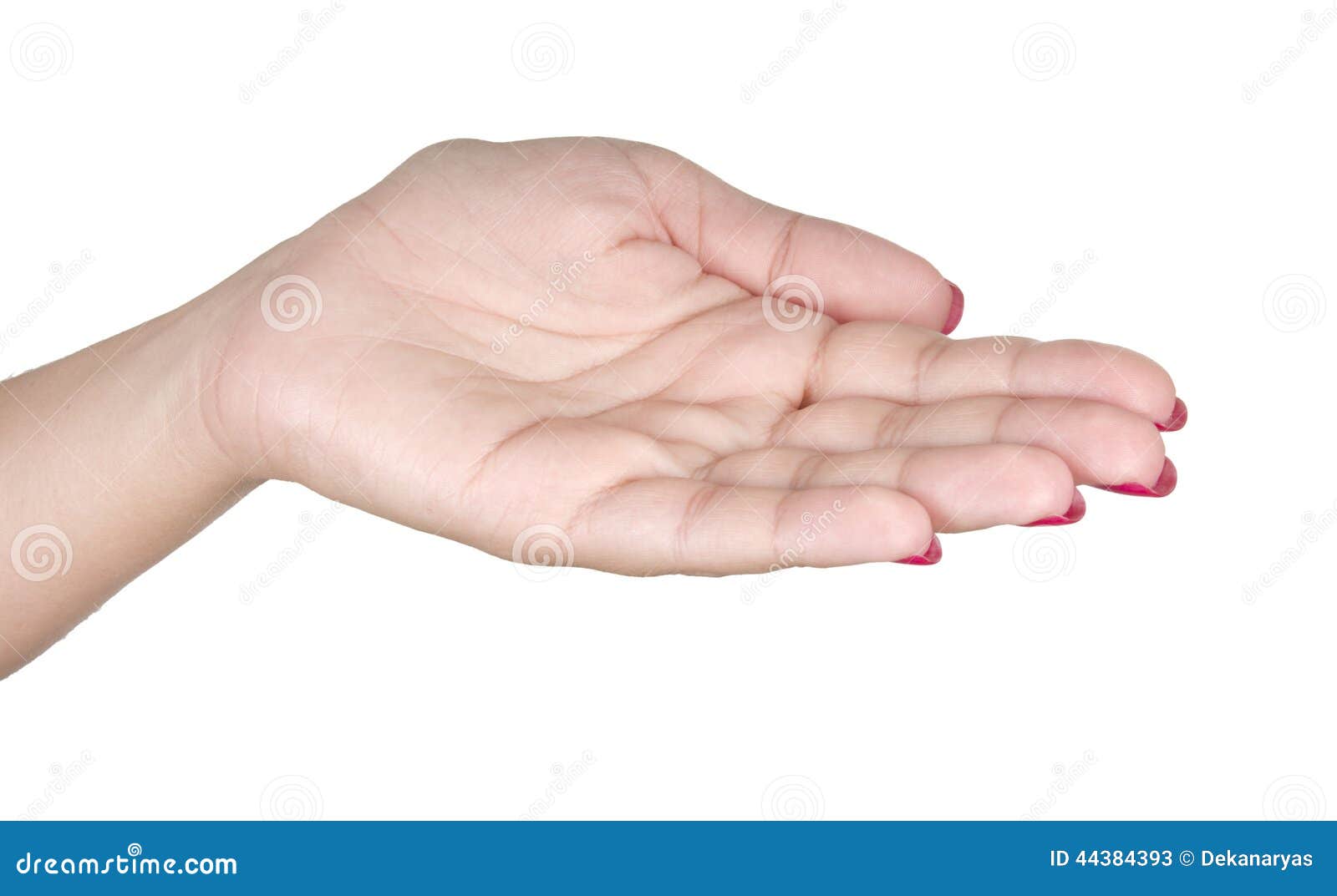 Woman Open Palm Offering Something Stock Image - Image of finger ...