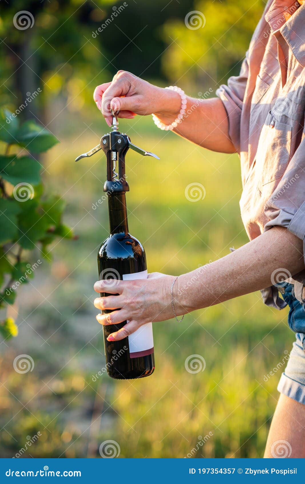 Woman Opening Wine Bottle by Corkscrew at Vineyard Stock Image - Image of opener, selective ...