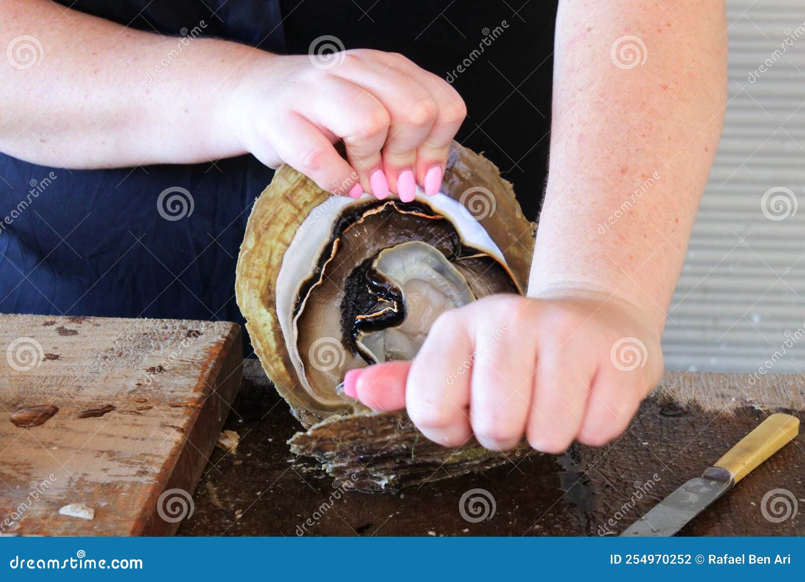 Woman Opens an Australian Pinctada Maxima Shell Stock Photo - Image of ...