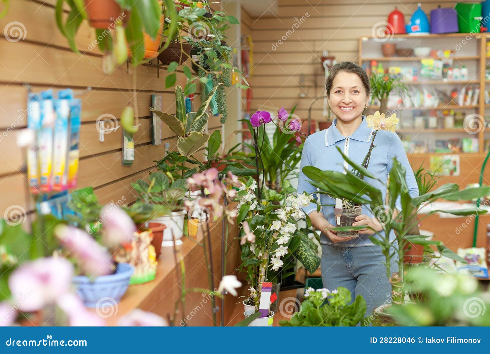 Woman with Orchid Surrounded by Different Flowers Stock Photo - Image ...