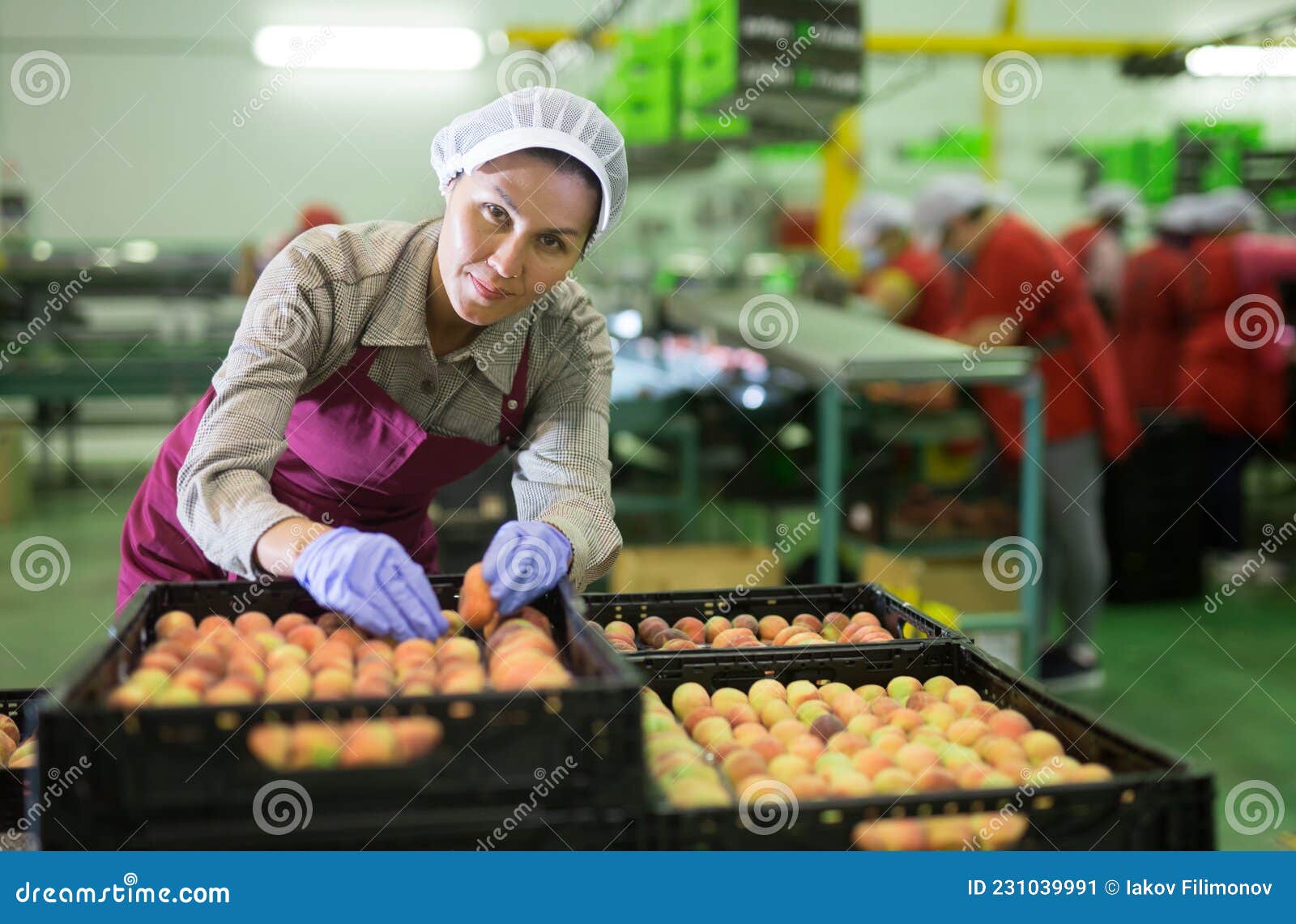 Woman packing peaches stock image. Image of female, crate - 231039991
