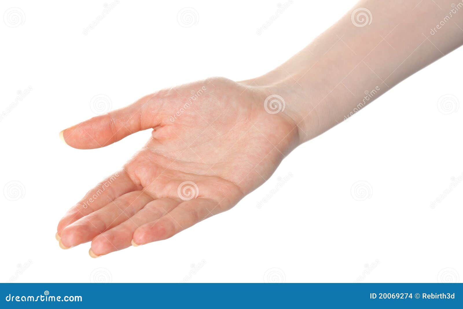 Woman palm open stock photo. Image of wrist, body, girl - 20069274