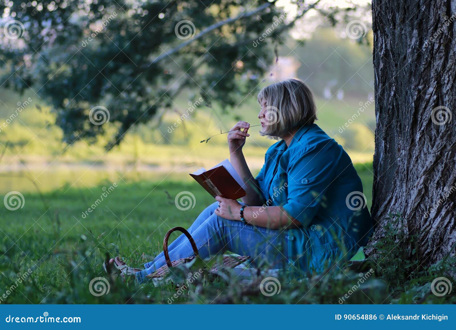 Woman in the Park Tree Reading Book Stock Photo - Image of autumn ...
