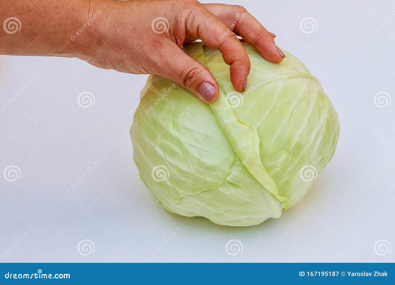 Woman Peels Fresh Cabbage for Salad Dressing or for Pickling Cabbage 库存 ...
