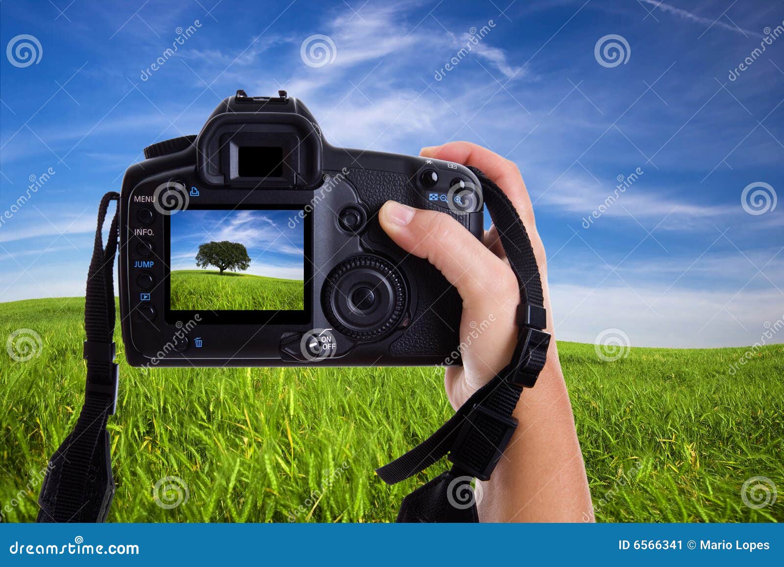 Woman Photographing Landscape with Digital Camera Stock Image - Image ...