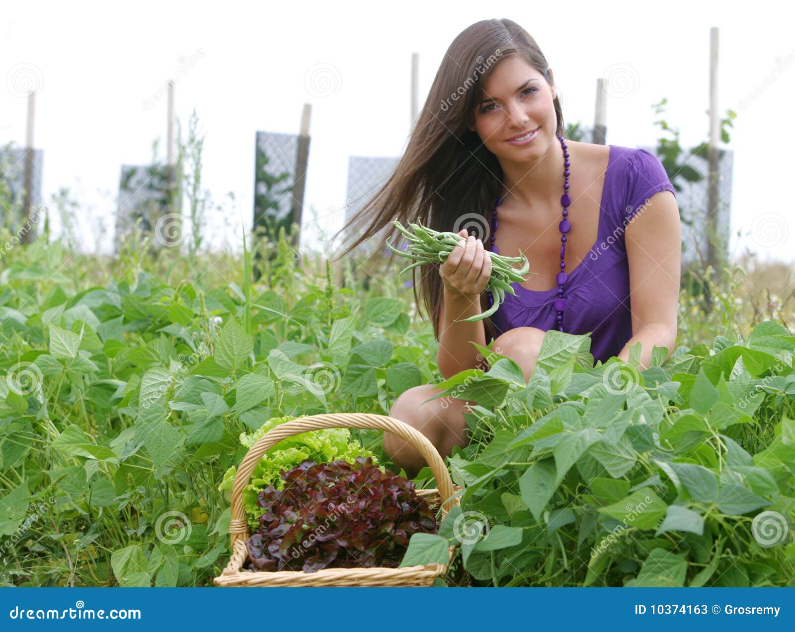 Woman picking stock image. Image of natural, grass, blue - 10374163