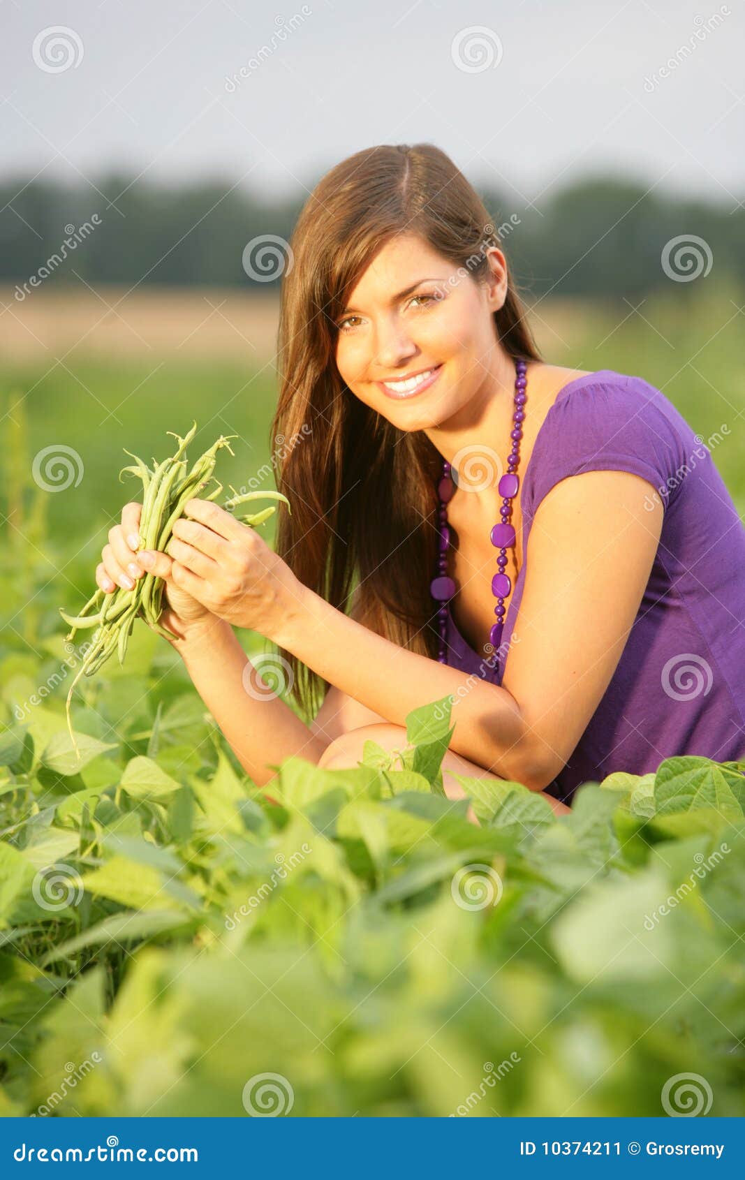 Woman picking stock image. Image of people, fruit, person - 10374211