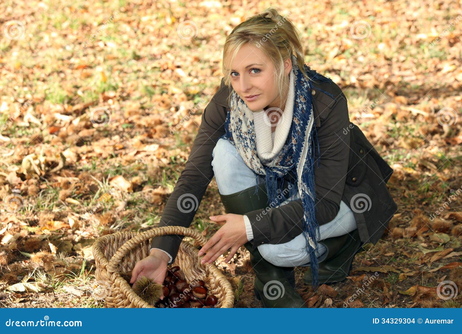 Woman picking up chestnuts stock photo. Image of picking - 34329304