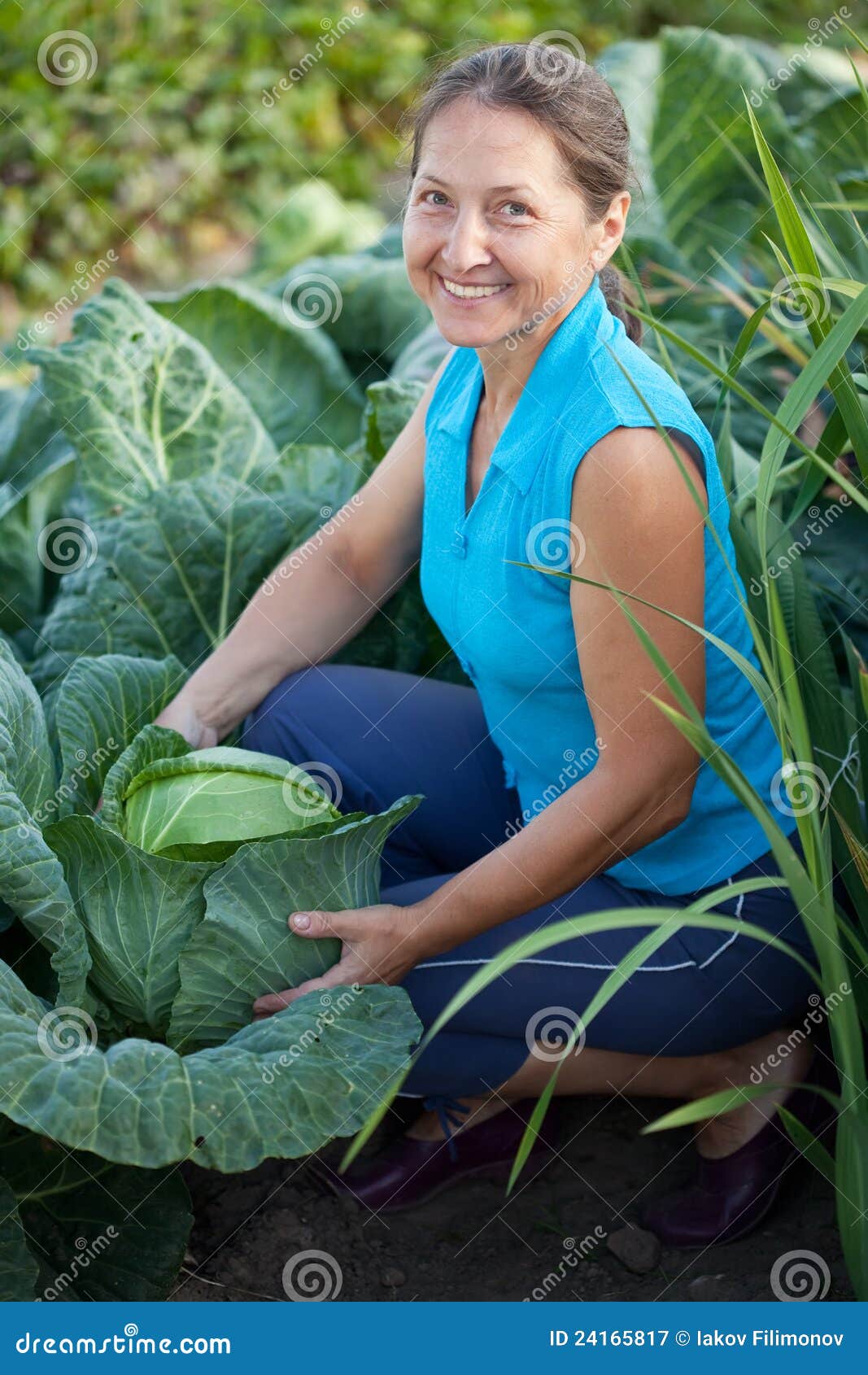 Woman in plant of cabbage stock image. Image of mature - 24165817