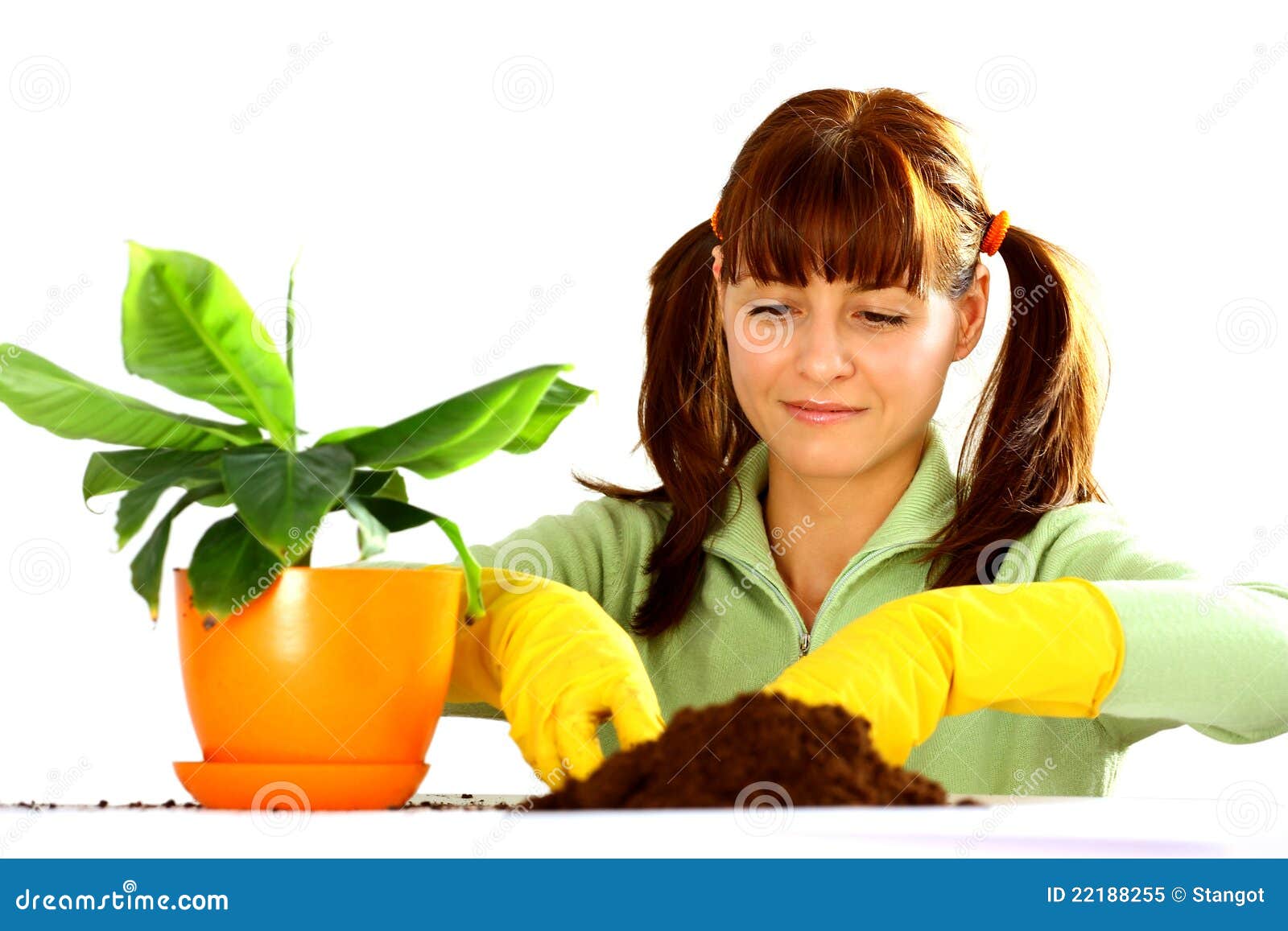 Woman planting a flower stock image. Image of leaf, smile - 22188255