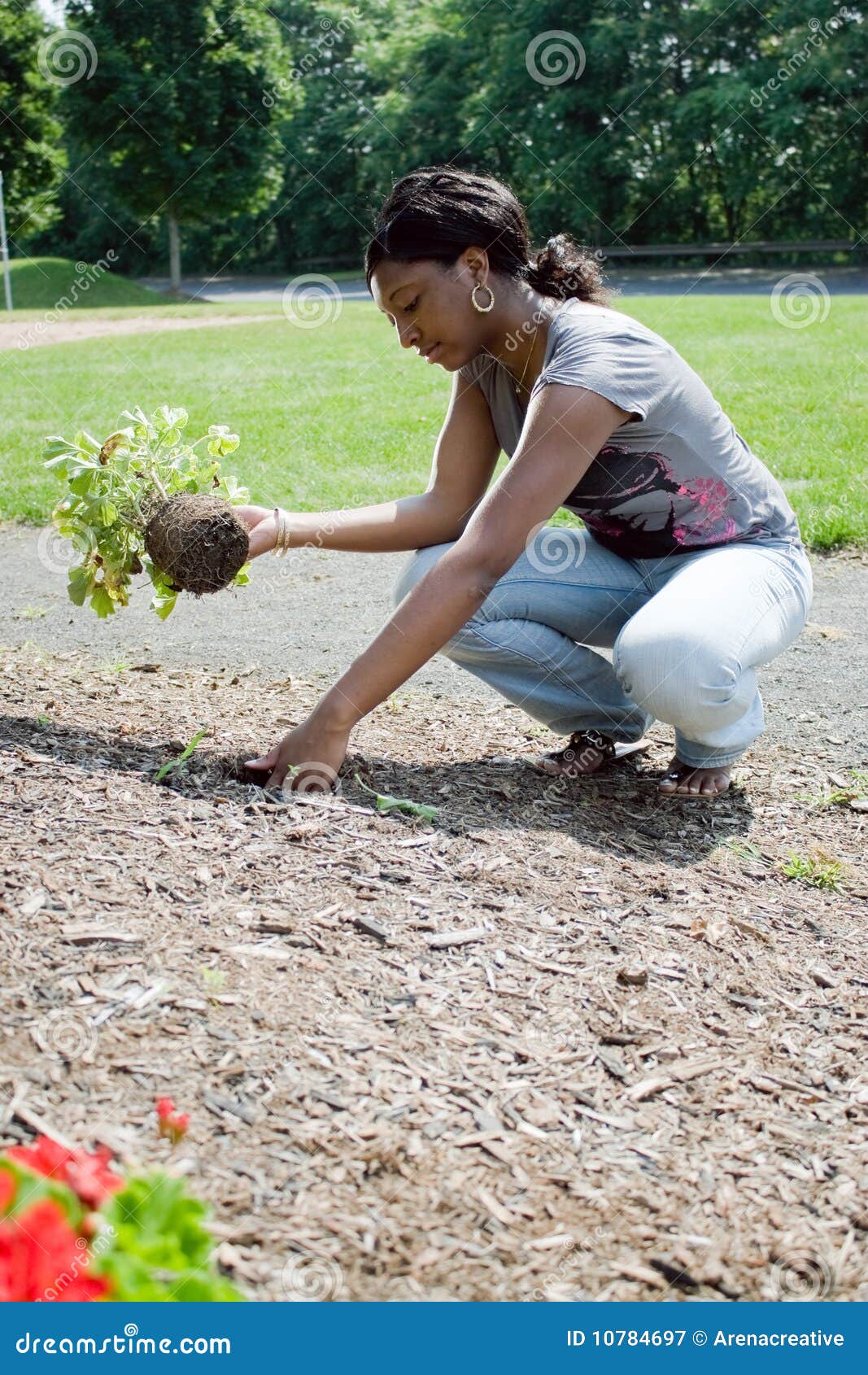 Woman Planting Flowers stock image. Image of gardening - 10784697