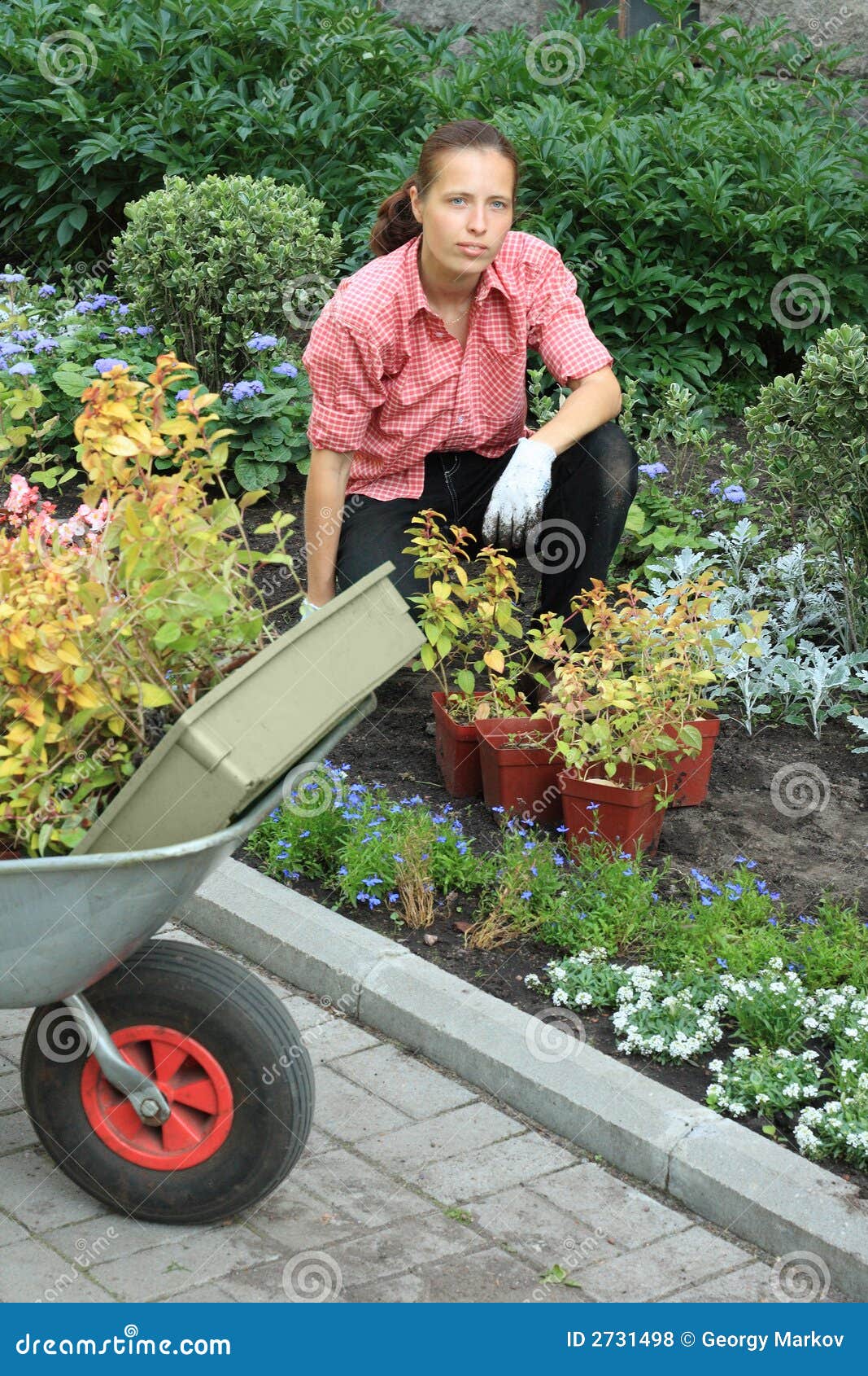 Woman planting flowers stock photo. Image of girl, flower - 2731498