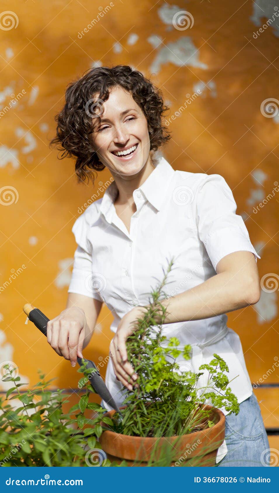 Woman planting in summer stock photo. Image of blouse - 36678026