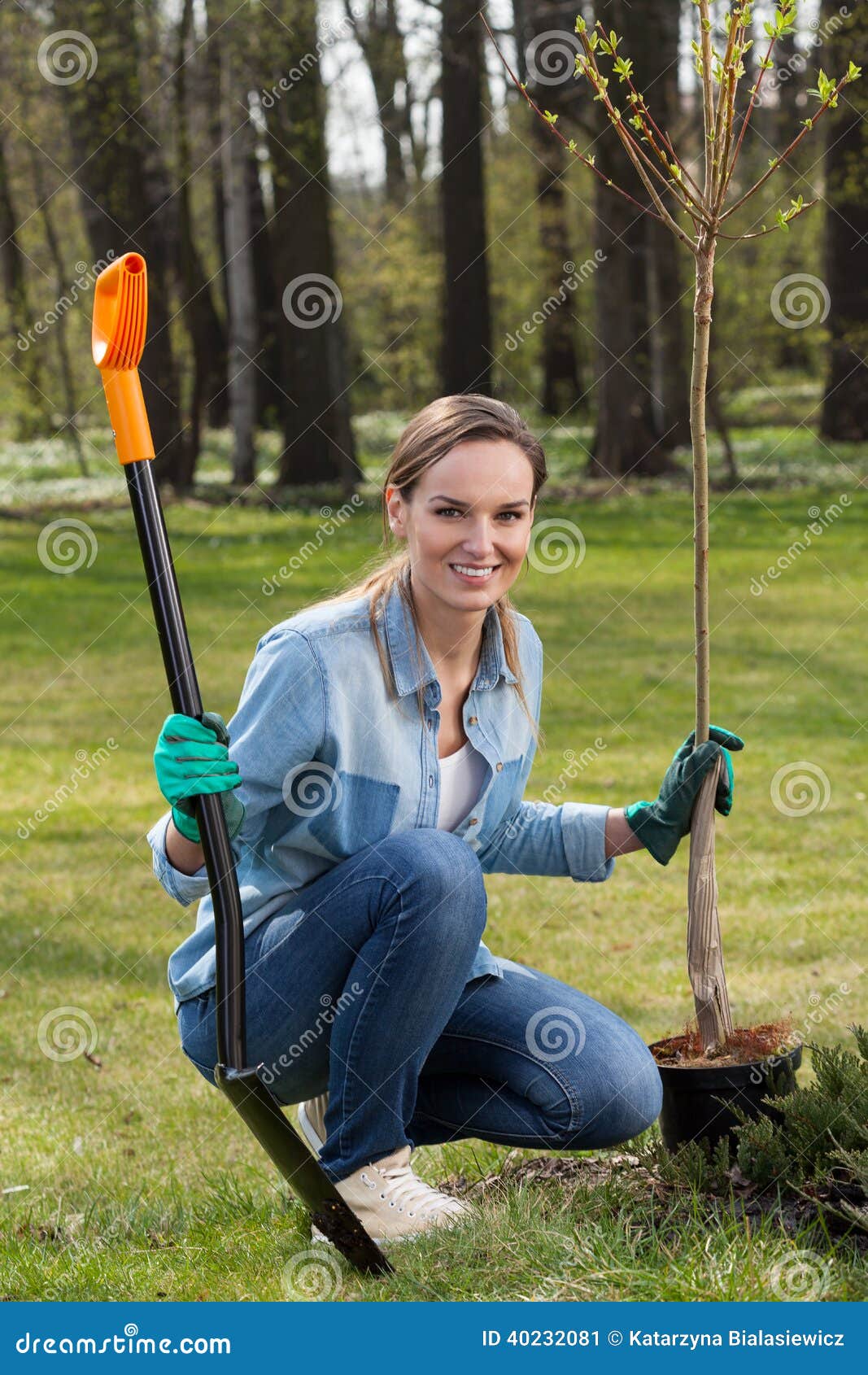 Woman planting young tree stock image. Image of leisure - 40232081