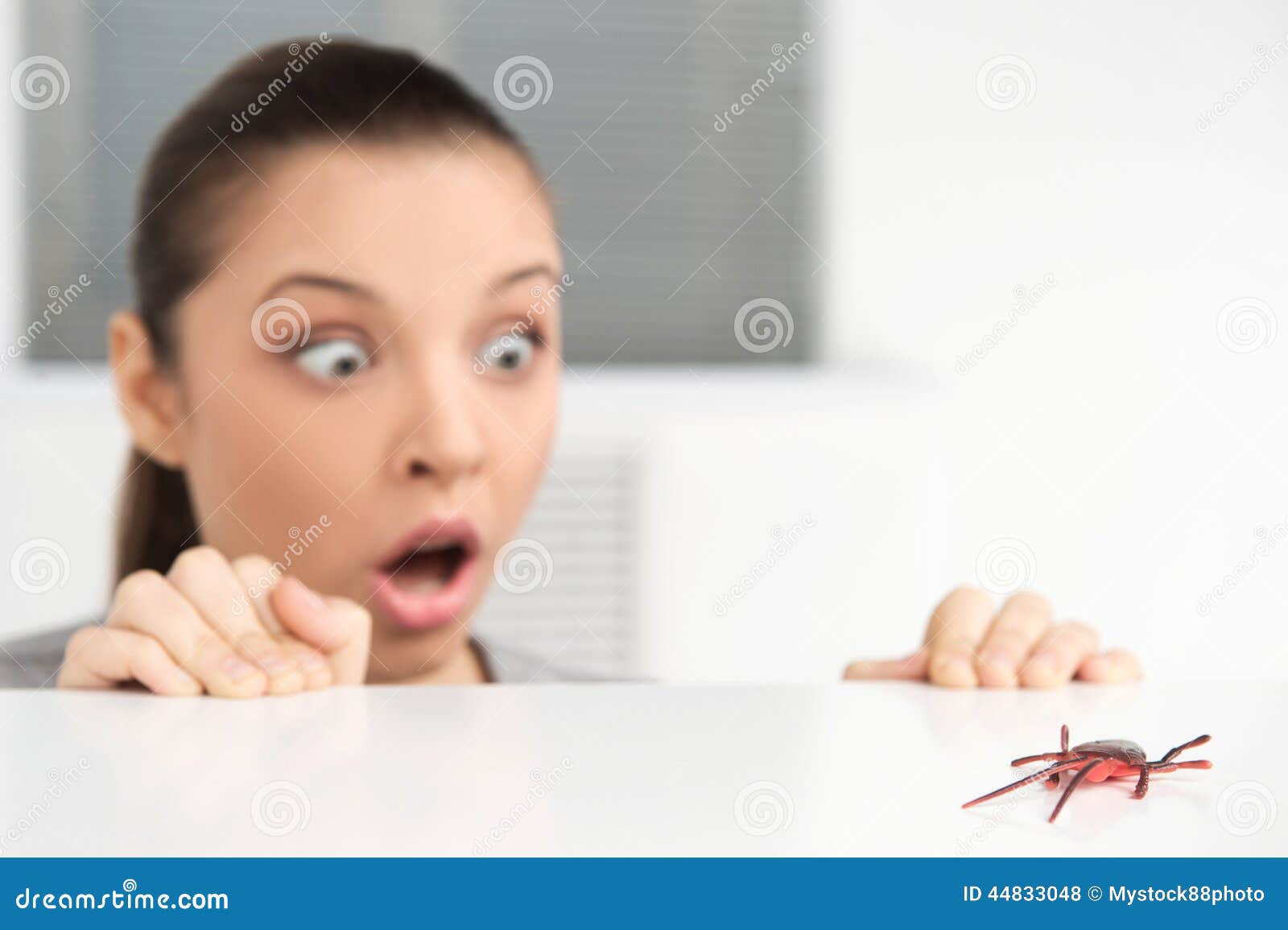 Woman with Plastic Spider Acting Scared. Stock Photo - Image of face ...