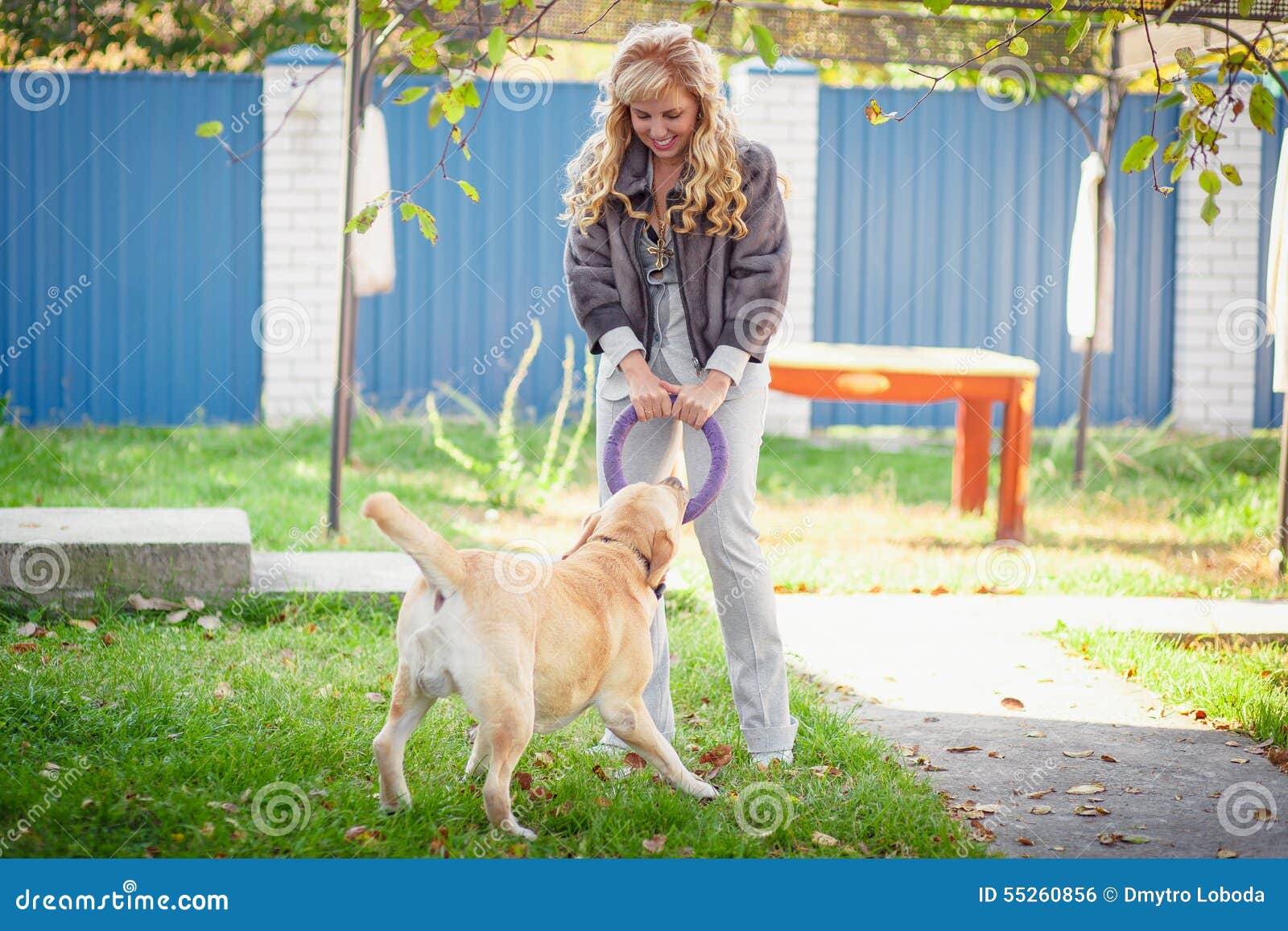 Woman play with dog stock photo. Image of nature, people - 55260856
