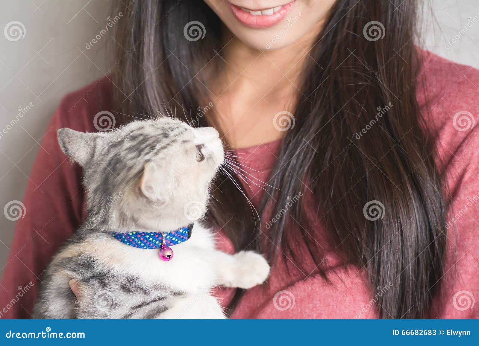 Woman play with her kitten stock image. Image of girl - 66682683