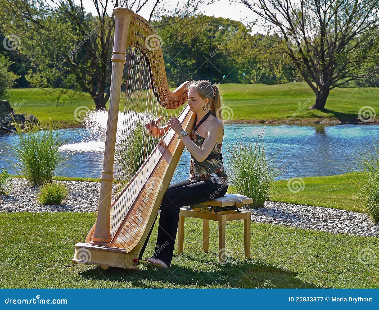 Woman Playing a Harp on a Golf Course Stock Image - Image of outdoor ...
