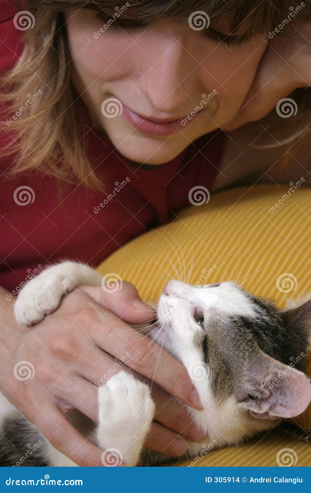 Woman playing with kitten stock photo. Image of love, closeup - 305914