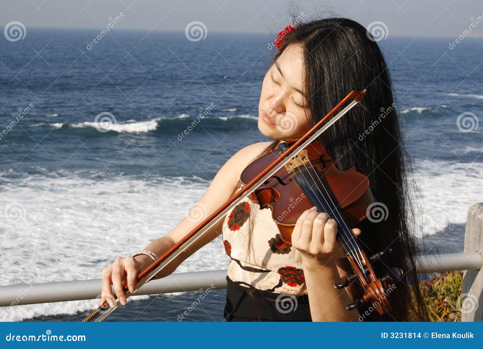 Woman playing a violin stock photo. Image of close, fiddle - 3231814