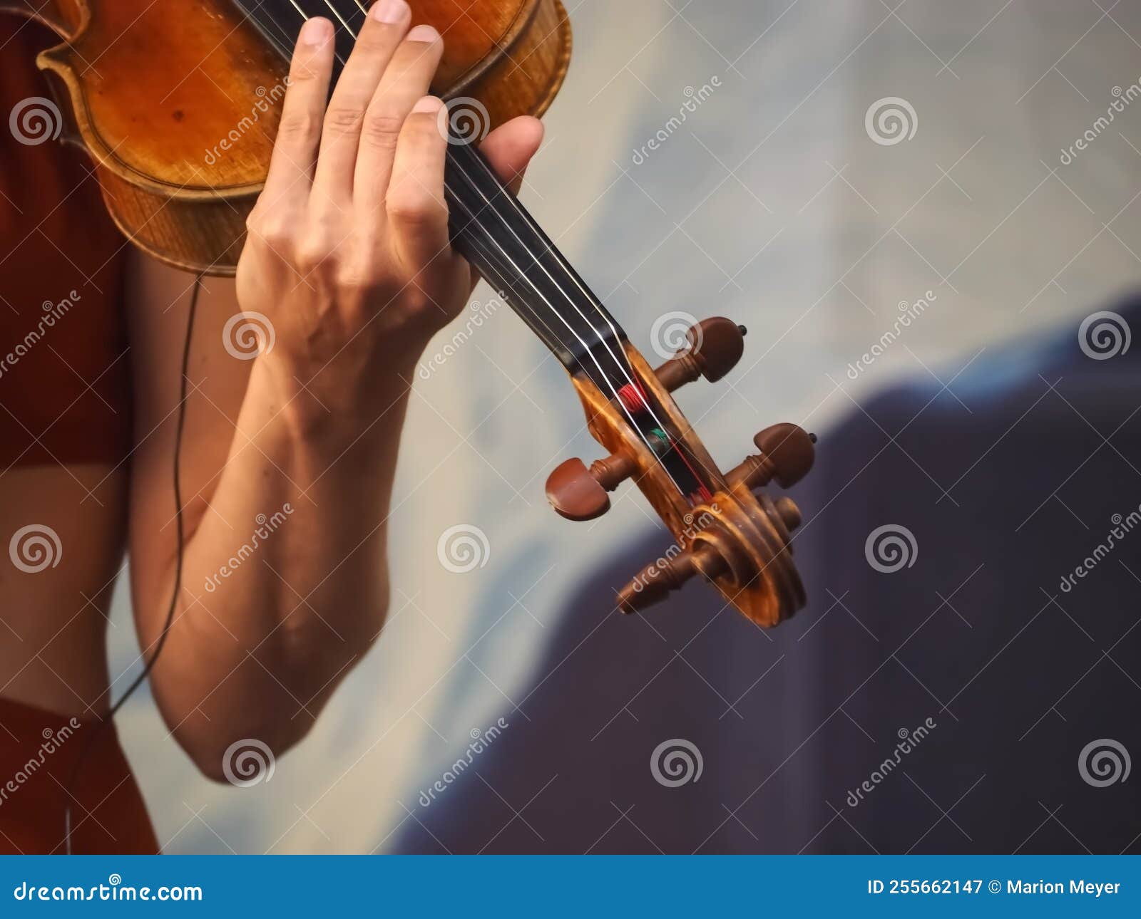 Woman Plays a Concert Violin Stock Image - Image of playing, folk ...