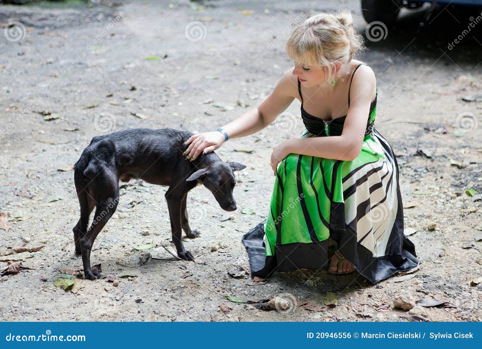 Woman with a Poor Stray Dog Stock Photo - Image of abandoned, mongrel ...