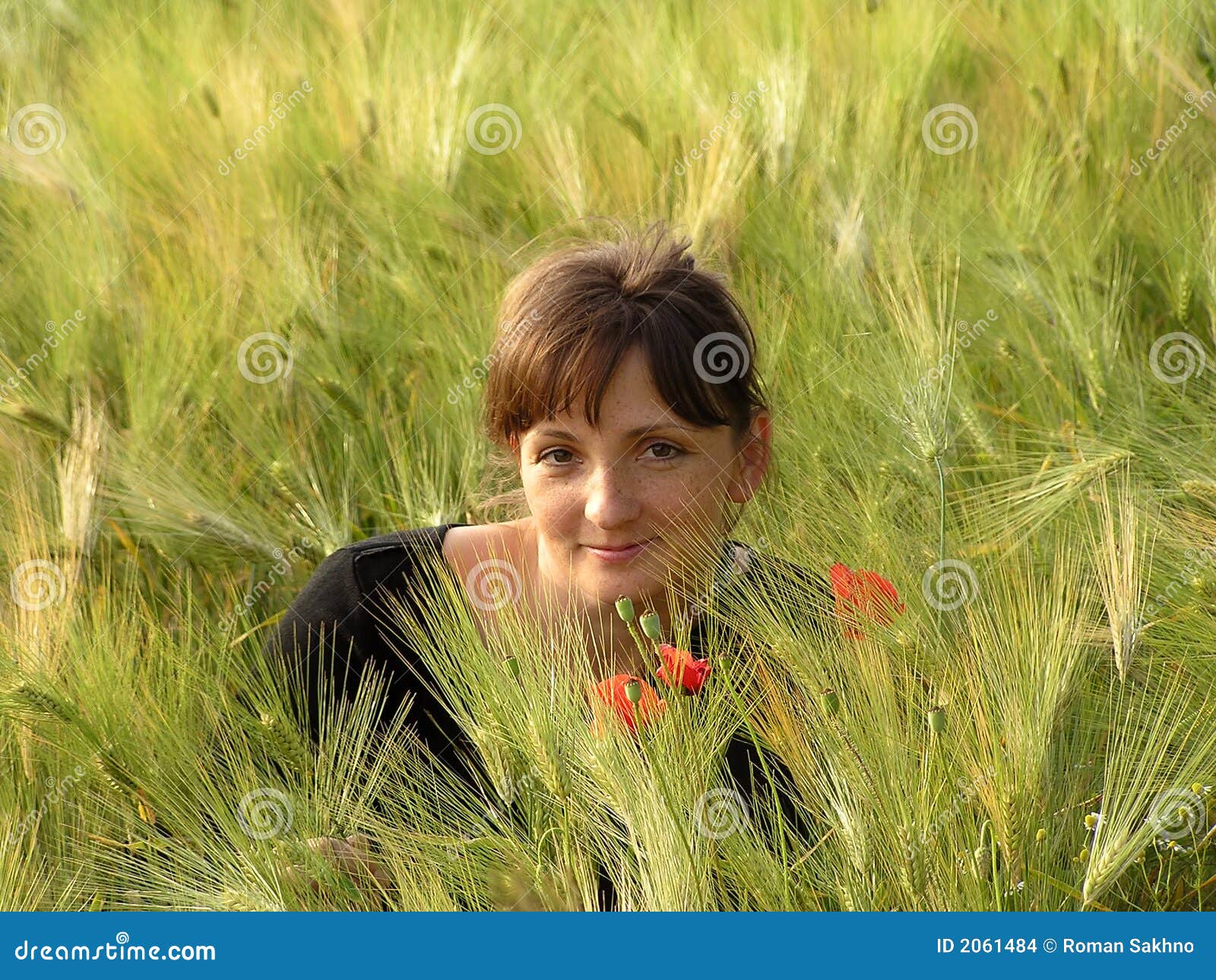 Woman with Poppy stock photo. Image of feminine, grain - 2061484