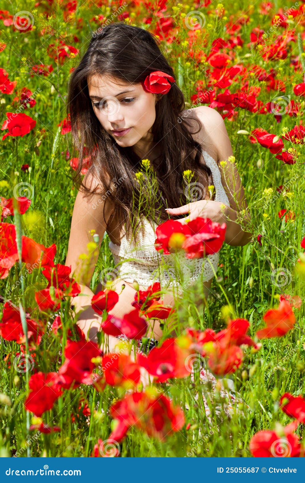 Woman in poppy field stock image. Image of happy, season - 25055687