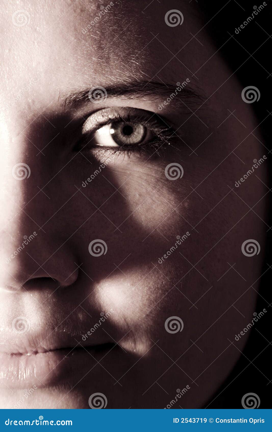 Woman portrait half face stock image. Image of thinking - 2543719