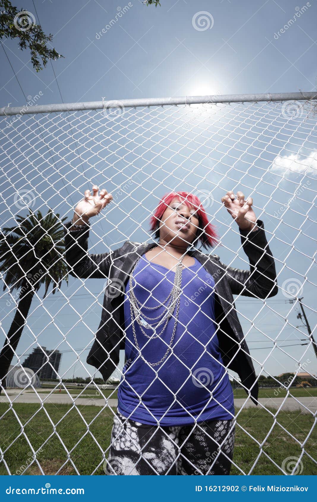 Woman posing by the fence stock photo. Image of african - 16212902
