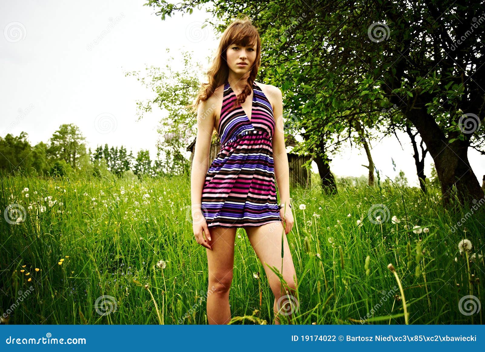 Woman Posing in a Green Area Stock Photo - Image of fashion, fresh ...