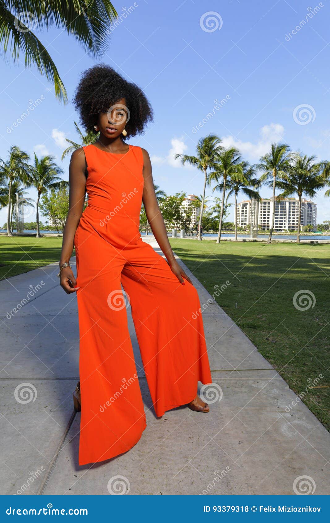 Woman Posing In An Orange Dress In The Park African American Stock