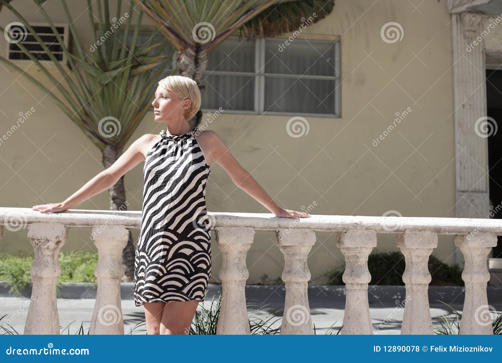 Woman Posing Outside in a Pattern Dress Stock Photo - Image of outside ...