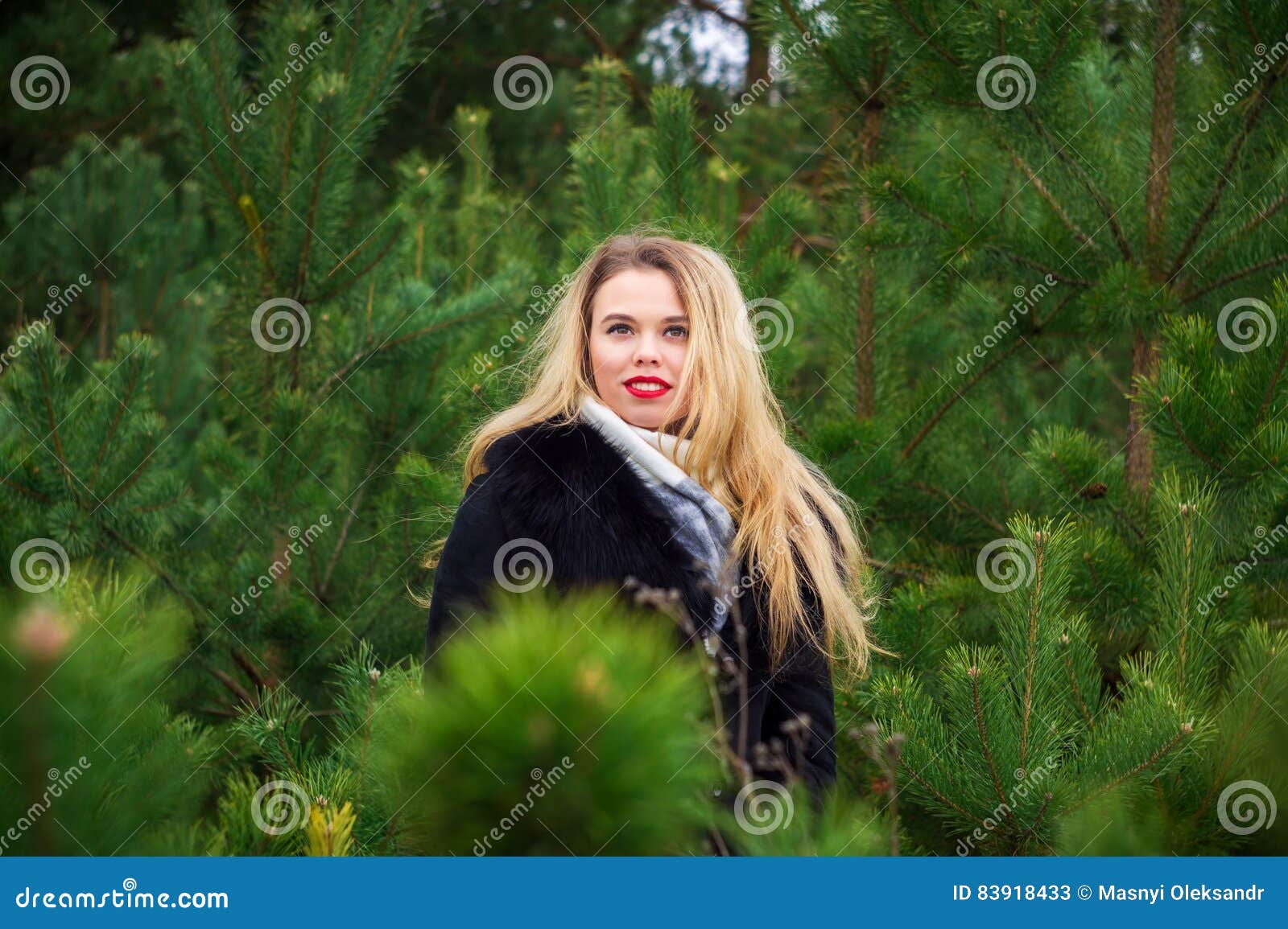 Woman posing in pines stock image. Image of nature, fresh - 83918433